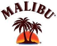 Malibu Black Kicks Off Launch In Style - Bar Business